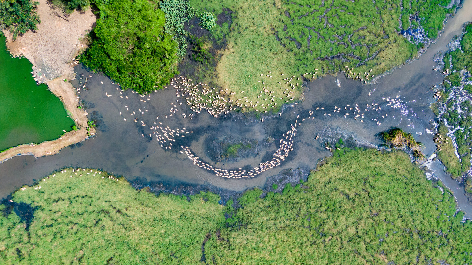 Biodiversity of England | leandrafaith